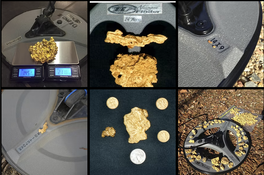 Nugget Finder Coils