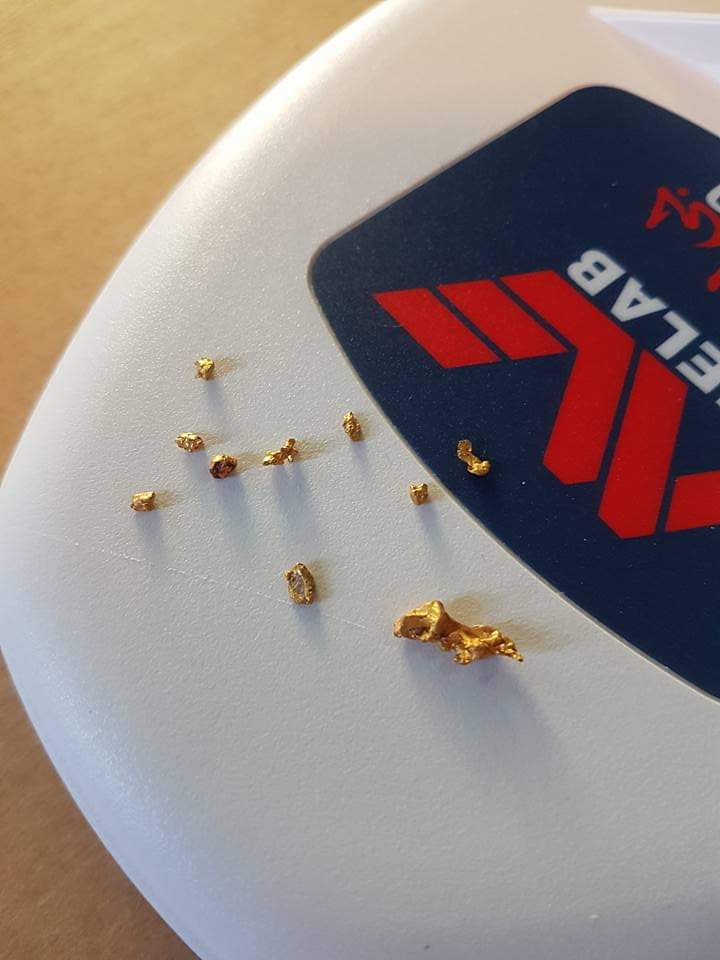 Gold Monster 1000 - Minelab Metal Detector – Gold Rat Highbankers ...